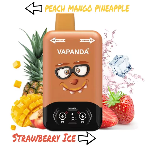Panda Dual Flavor Switch 40K Puff Of Joy - Vape Delivery | Vape Levering
